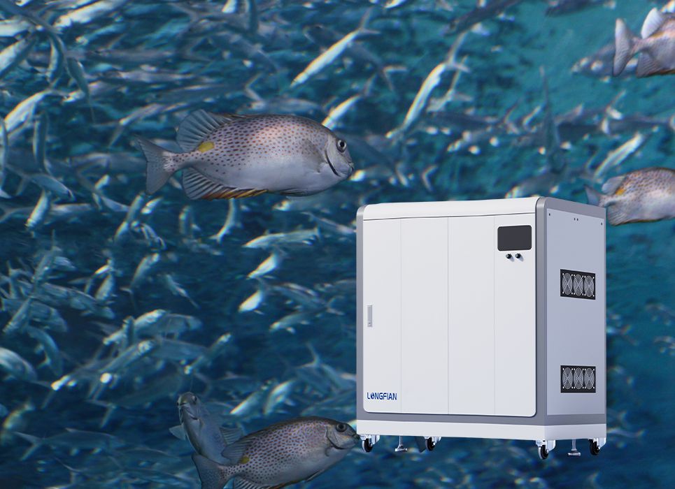 Oxygen Solutions, Medical Oxygen Therapy, Indoor Oxygen Supply